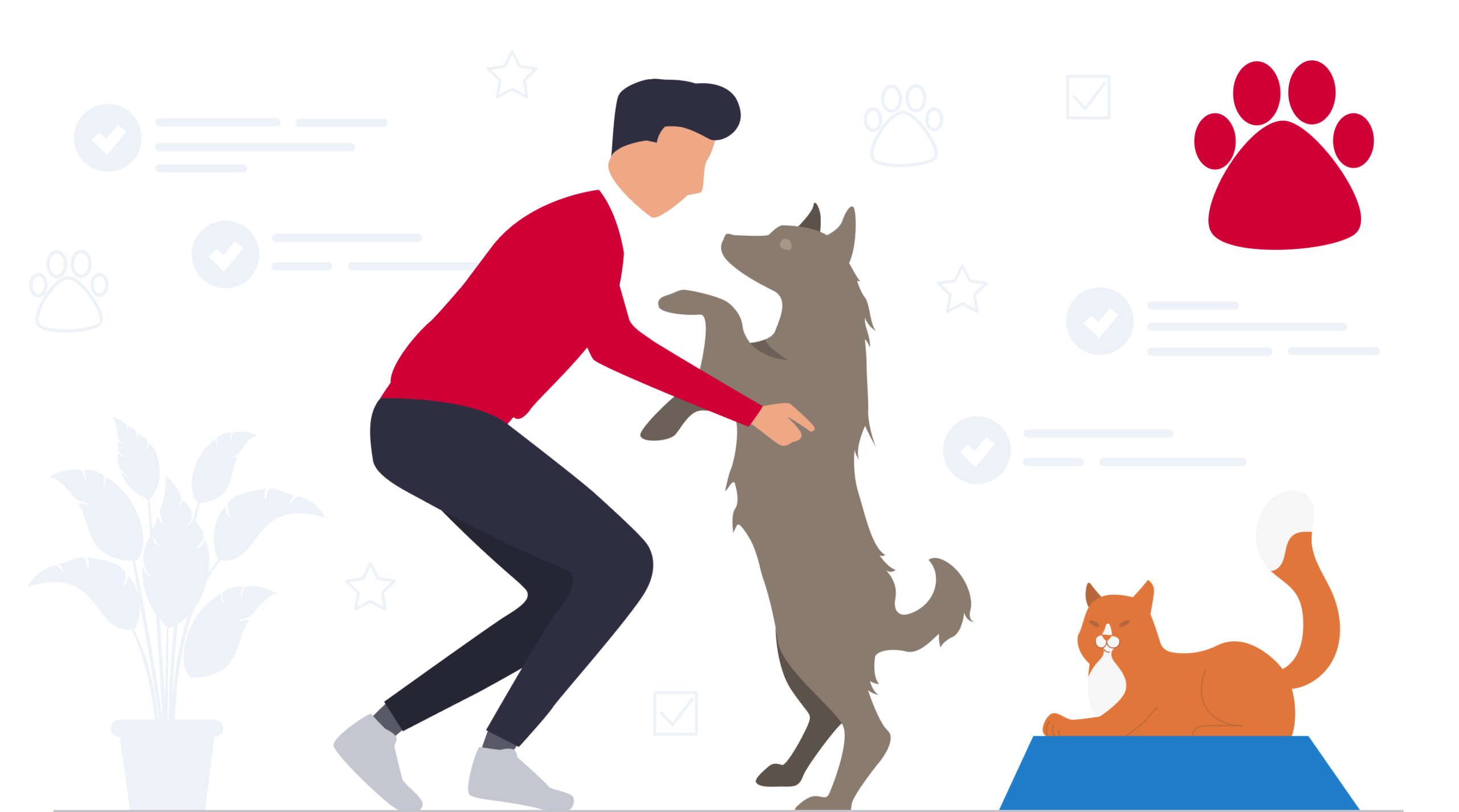 Main Differences Between Vomiting and Regurgitation in Cats — ProTrainings