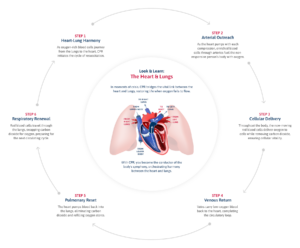 What Is the Correct CPR Hand Placement & Why Is It So Important ...