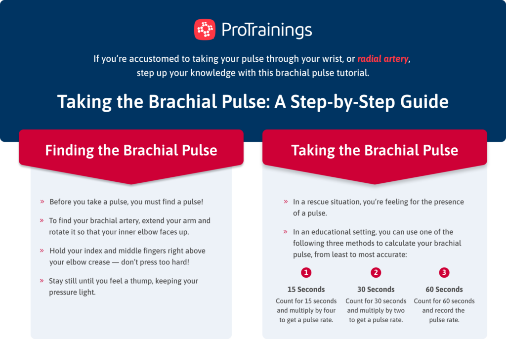 Where, When & How to Find the Brachial Pulse | ProTrainings