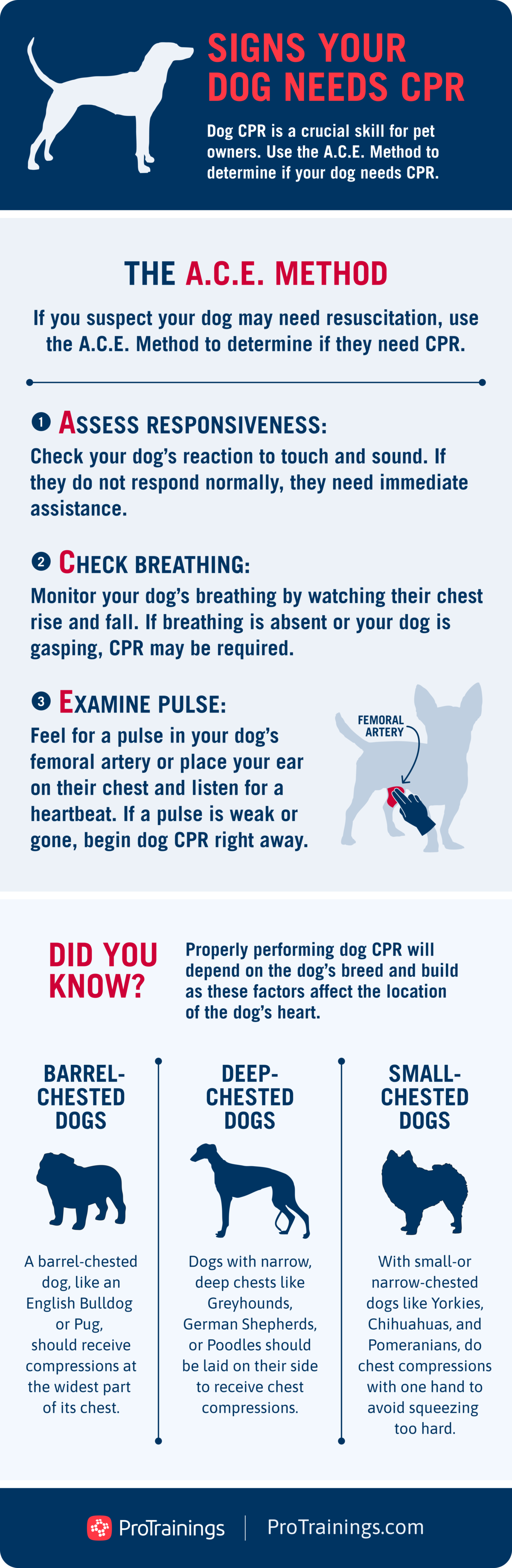 Saving Man’s Best Friend With Dog CPR | ProTrainings